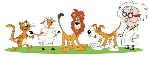 Professor Toto French | Multilingual Books